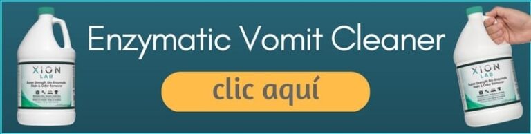 6 Tips On How to Eliminate Vomit Smell from Car